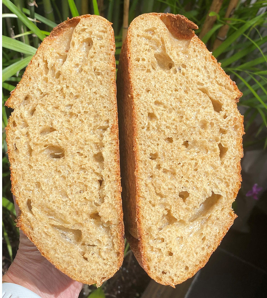 Organic Ancient EINKORN Sourdough Bread - PICK UP ONLY – The Love Loaf